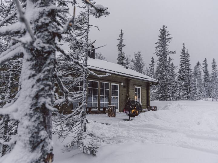 Modern Cottage In Trillevallen, ÅRe | Se21005 - Järpen