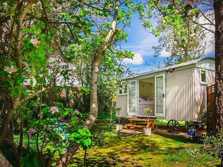 Helen's Shepherds Hut - Amesbury