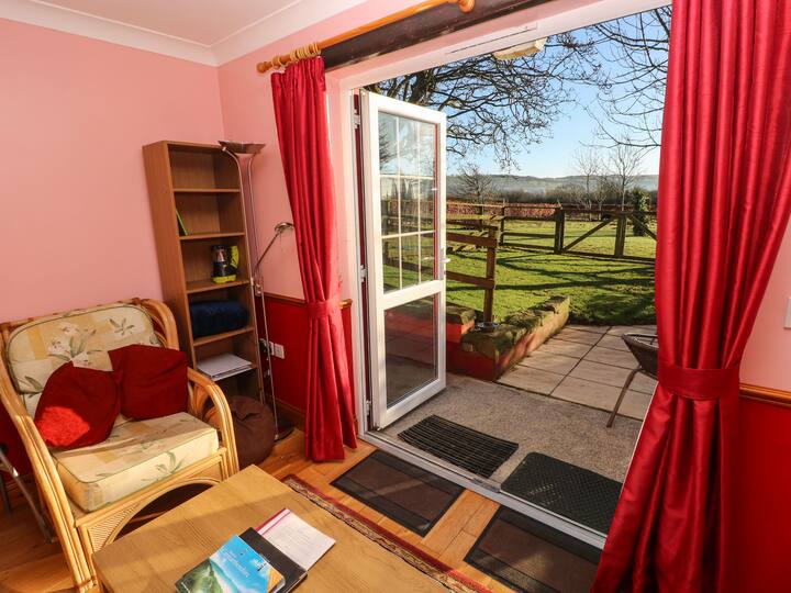 Cwtch Cowin - Carmarthen