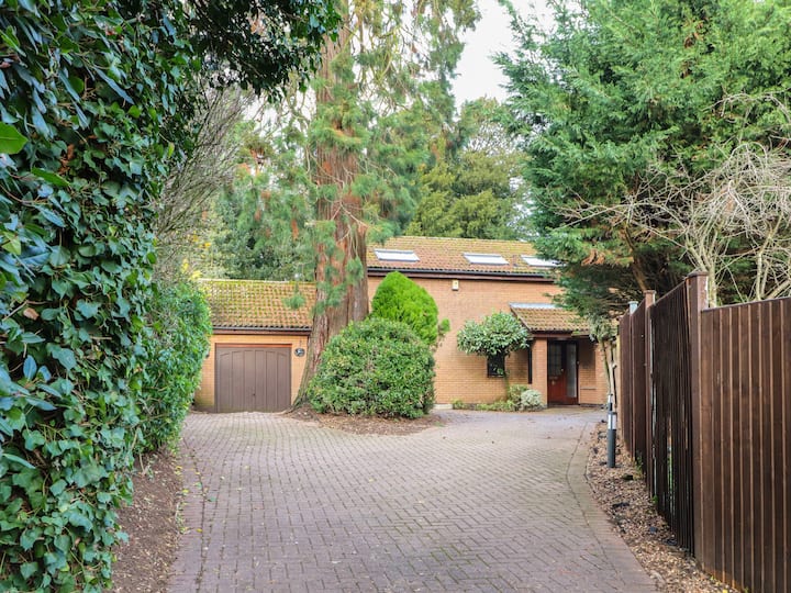 Amberleigh - Rutland