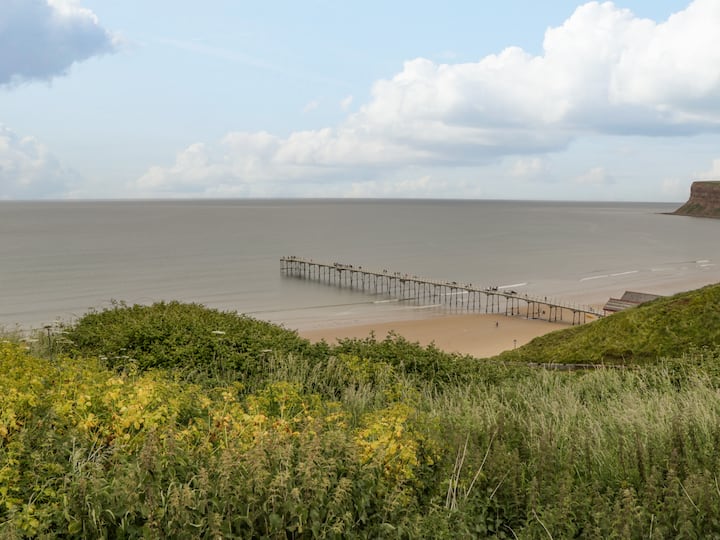 Bluewater View - Saltburn-by-the-Sea