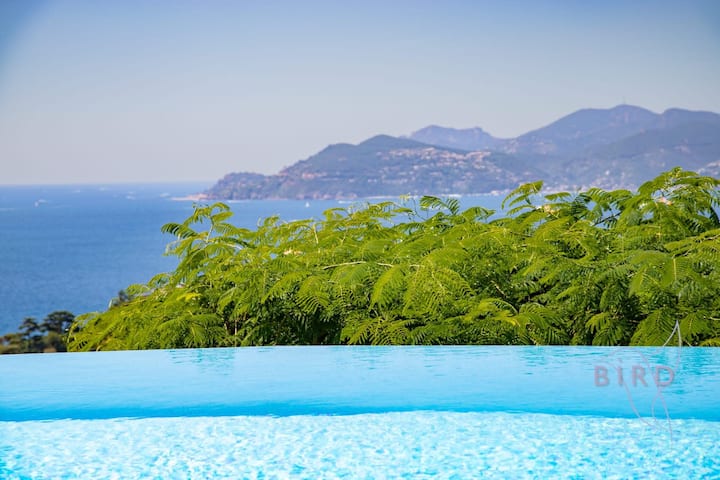Luxueux Appartement Cannes Vue Mer Et Piscine A - 칸