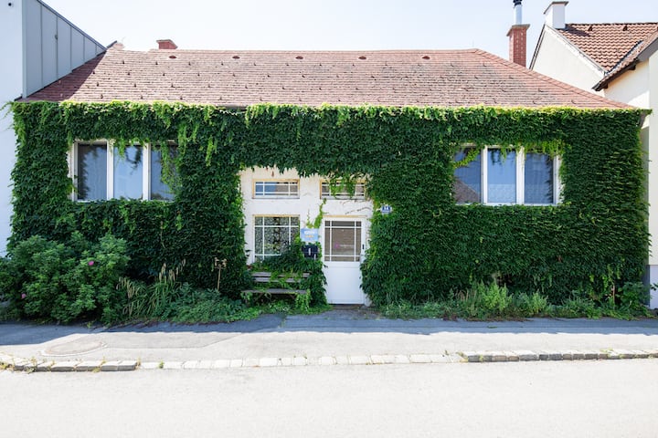 Ferienwohnung In Bgld. Streckhof - Eisenstadt