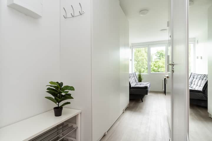 Nordic Studio 139 In Prime Vilnius Location - Vilnius