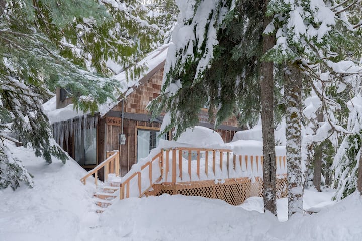 Great Location In Government Camp, Ski In , Pet Fr - Government Camp, OR