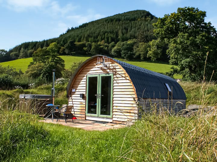 Barcud Coch - Uk44539 - Lake Vyrnwy