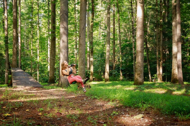 Summer Breeze Cabin At Cabin Fever In Nc! - Saluda, NC