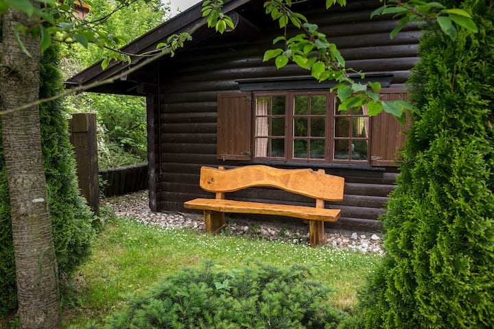 Schwedenhaus Kaminzauber - Willingen (Upland)