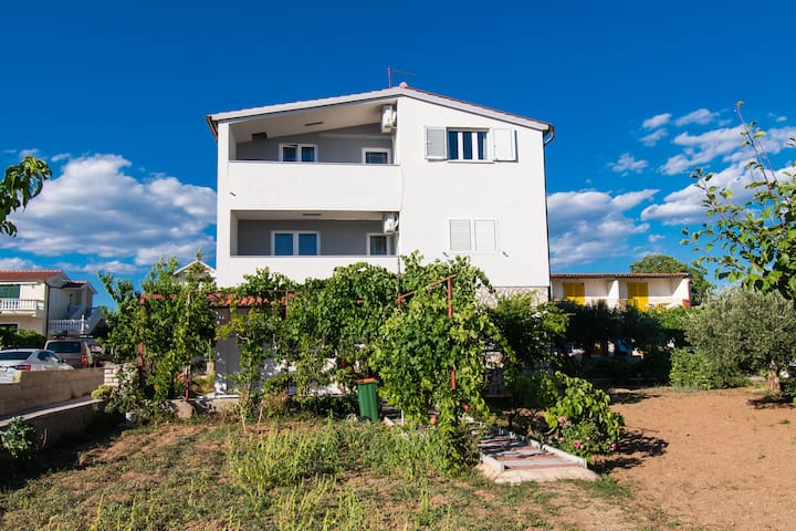 Appartement Nena (85101-a2) - Pirovac