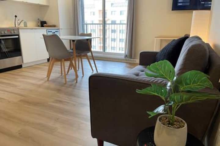 Grand Studio Appart-hôtel Luni - Levis