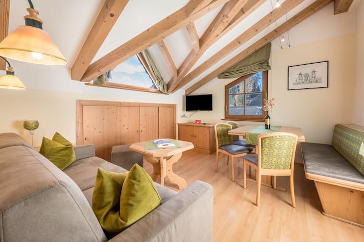 Haus Zur Vogelweide App 5 - Toblach