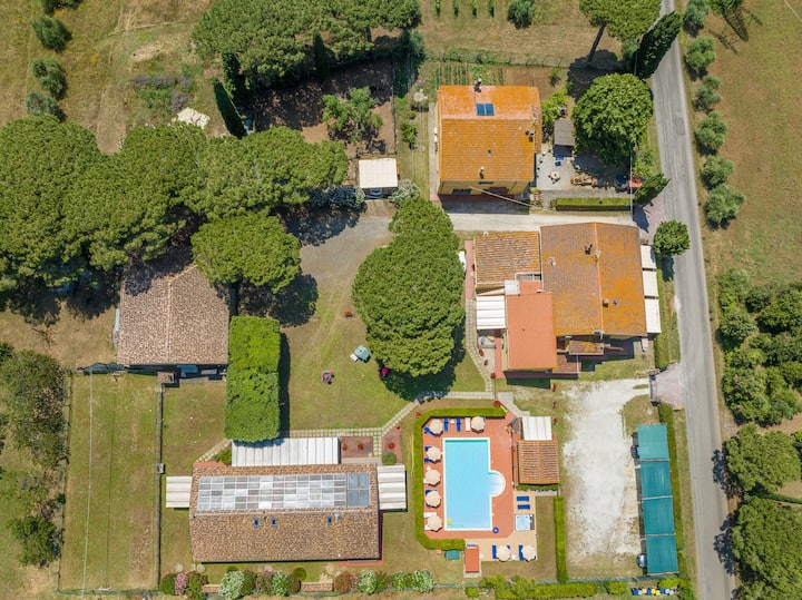 Il Pino - Appartamento Tiglio - Cecina