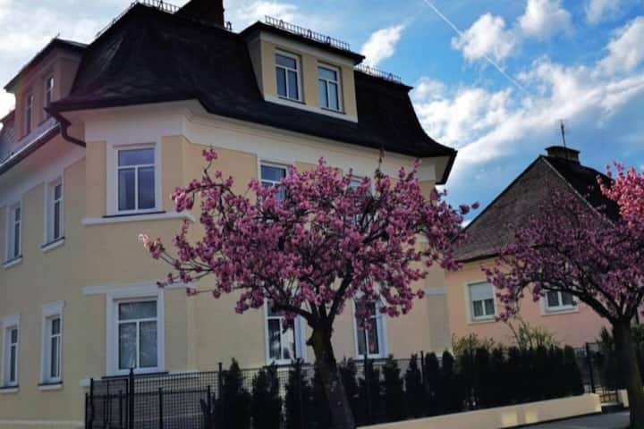 Villa Kreuzbergl - Double Room - Klagenfurt am Wörthersee