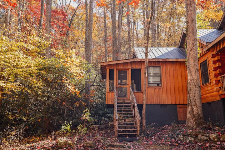 Bird's Nest Cabin At Cabin Fever In Nc! - Saluda, NC