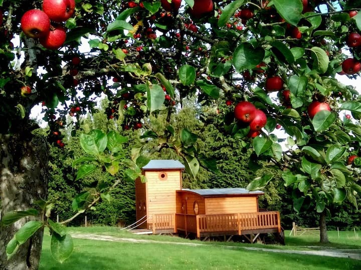 Gîte ÉCouves, 3 Pièces, 4 Pers. - Alençon