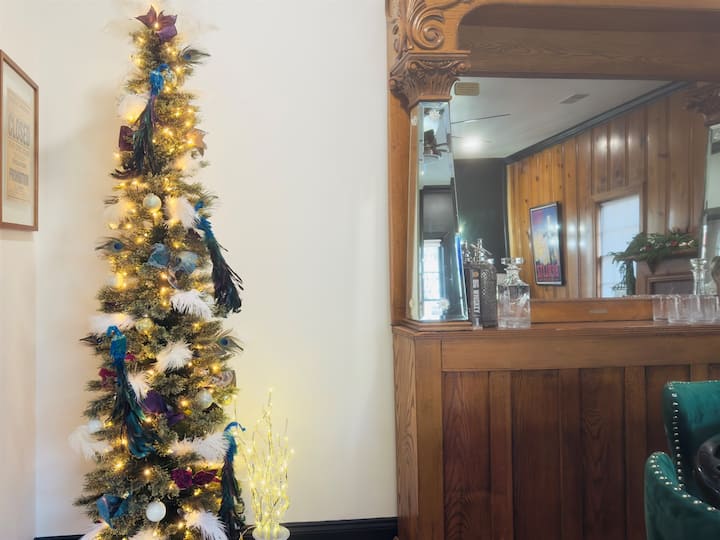 Historic Speakeasy+hot Tub+downtown Murfressboro - Murfreesboro, TN