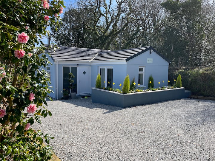 The View - Bodmin