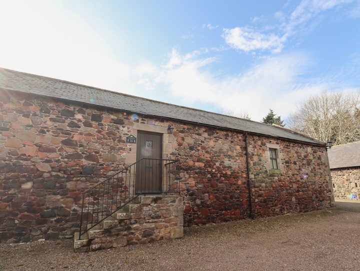 Foxglove Covet - Wooler