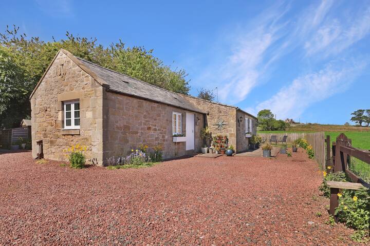 Plumtree Cottage - Craster
