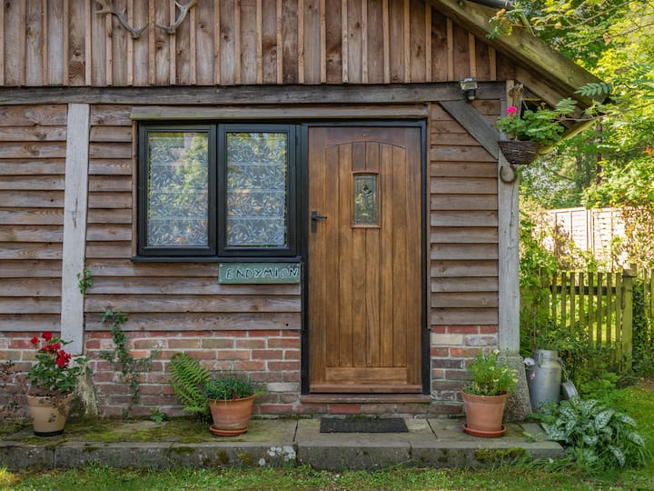 Endymion - Fordingbridge