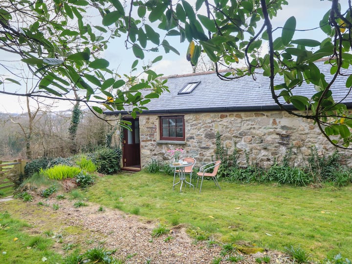 Little Tregarrick - Helston