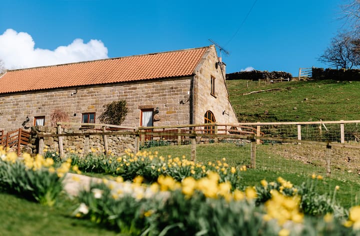 The Arches - Helmsley