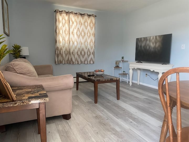 Updated Cozy 1bd Near Rivian & Isu - Illinois