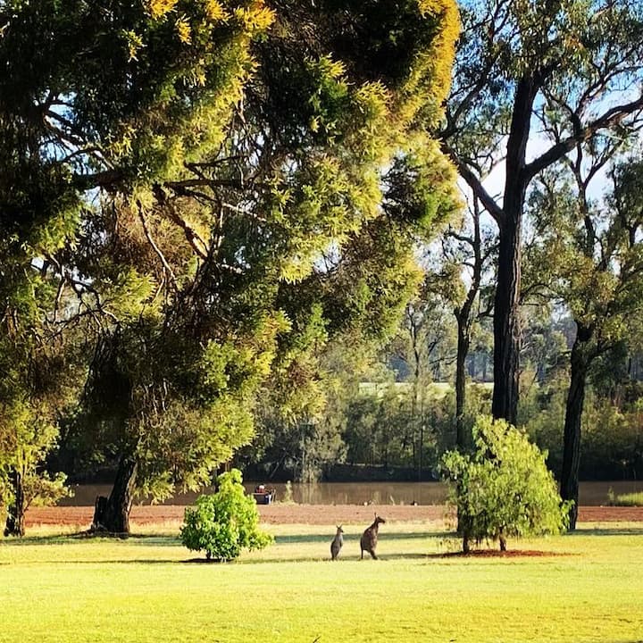 Florence Cottage - Cessnock