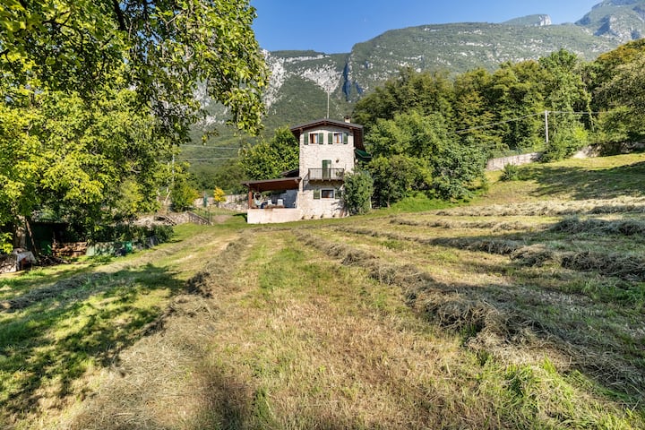 Panoramic Green Studio - Malcesine