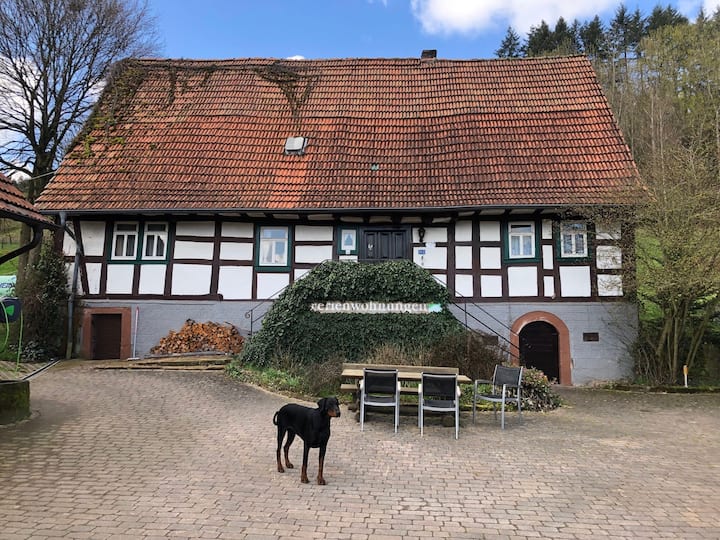 Ferienwohnung Hanst - 1 - Mossautal