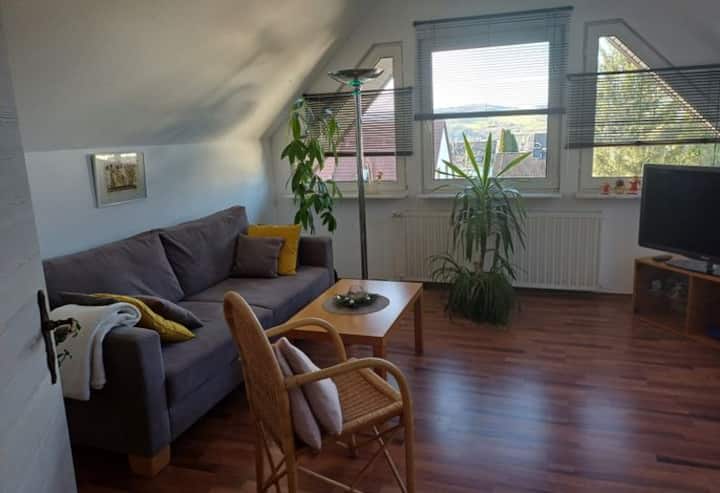 Ferienwohnung Sylvia - Michelstadt