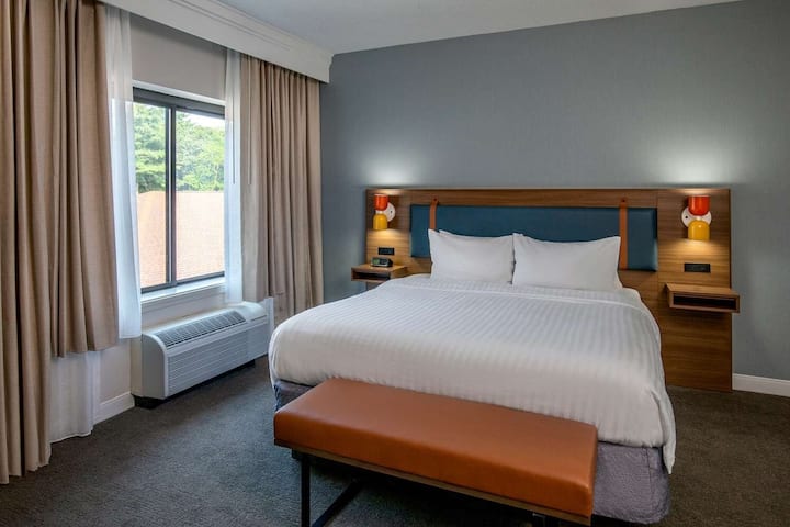 Amazing Destination To Visit!  Pet Friendly! - Foxborough, MA