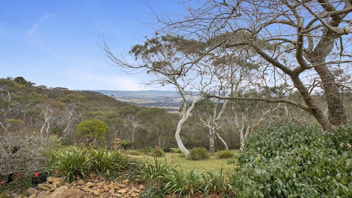 Cecils Chair Blackheath Blue Mountains - Blackheath