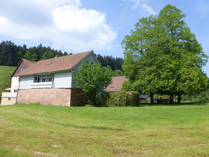 Zur Mühle Ferienwohnung 1 - Mossautal
