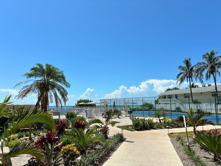 Rc309 - Pool - Beachfront - Great Rates! - Tampa Bay, FL