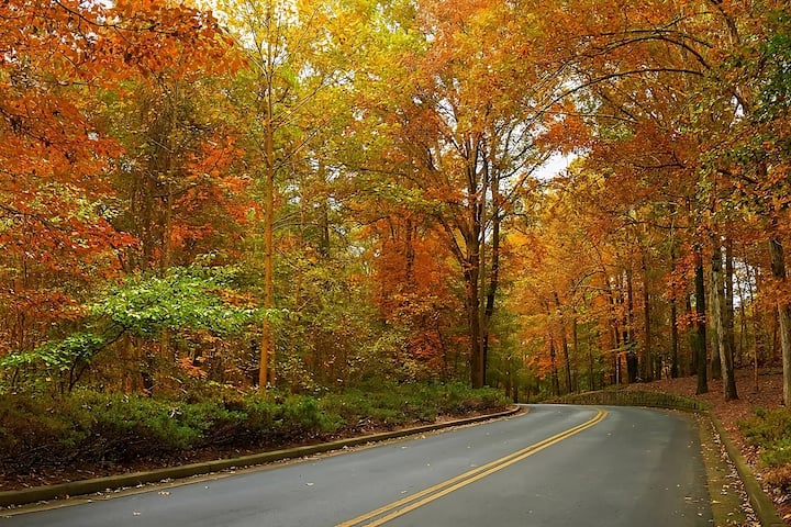 Pet-friendly Accommodation With Pool View! - Stone Mountain, GA