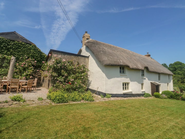 Langstone Farm - Okehampton