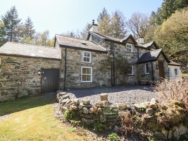 Greffyn - Snowdonia