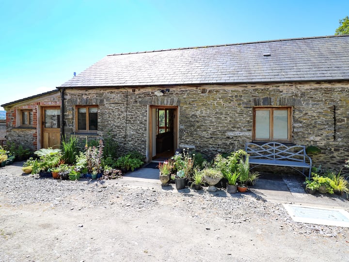 Golwg Las - Lampeter