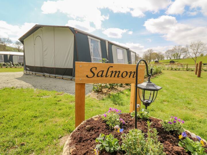 The Salmon - Rhayader