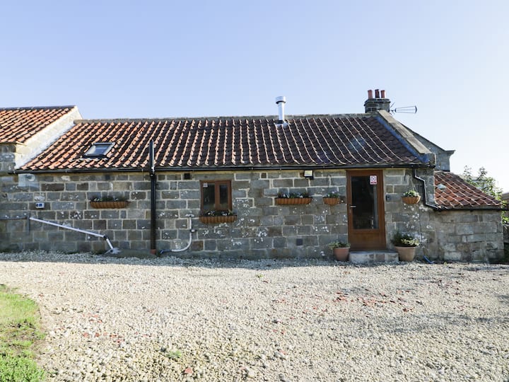 Dovecote Cottage - Ravenscar