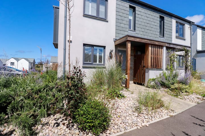 The Sand Dunes - Crantock