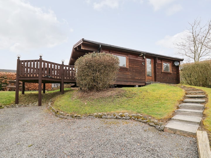 Snowy Owl Lodge - Rhayader