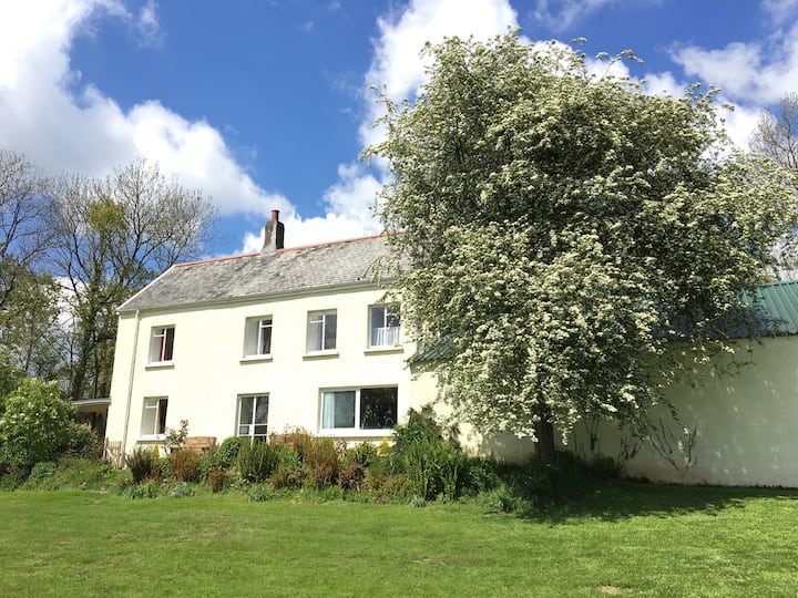 Marsh Cottage - South Molton