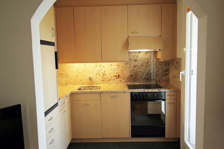 Residenza Lagrev - 2 Zimmerwohnung Nr. 005 - Typ 2 - Sils im Engadin