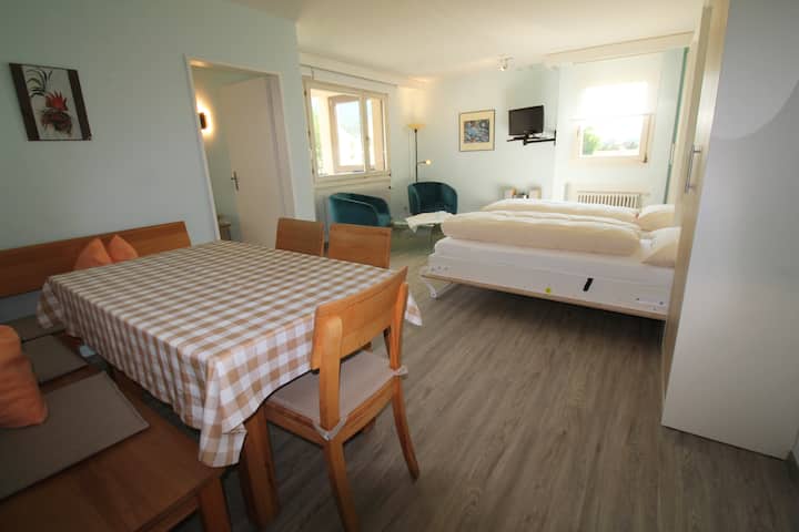 Residenza Lagrev - 2 Zimmerwohnung Nr. 122 - Typ 2 - Sils im Engadin/Segl