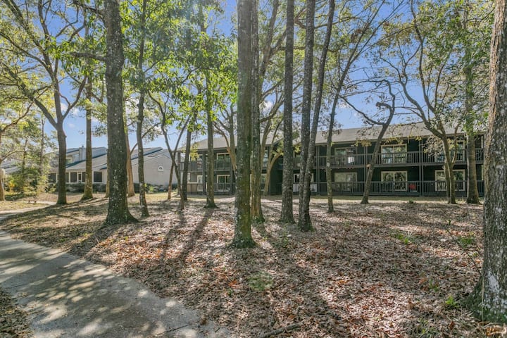 King Studio W/daybed|ravines|kitchen|dogs Ok|porch - Middleburg, FL