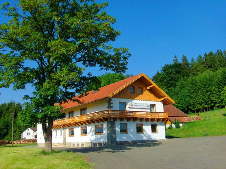 Ferienwohnung 120 Qm Nr.3 (Ferienhof Jägersteig) - Waldmünchen