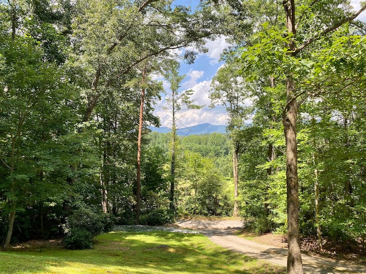 Mountainview Escape - Dog Friendly, Screened Porch - Dahlonega, GA