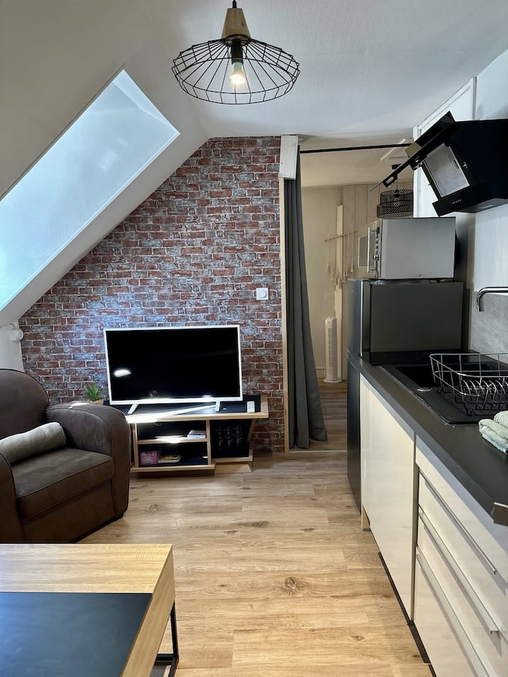 Le Studio Du Square : Châteaux-beauval-arrivée Aut - Sologne
